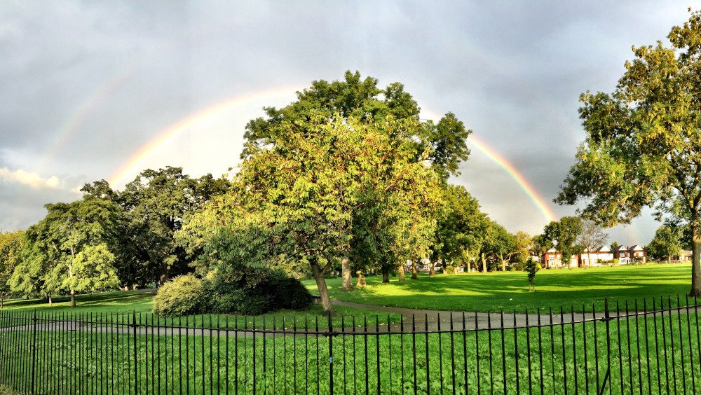 Blog: Spring 2020 in Ruskin Park – Friends of Ruskin Park