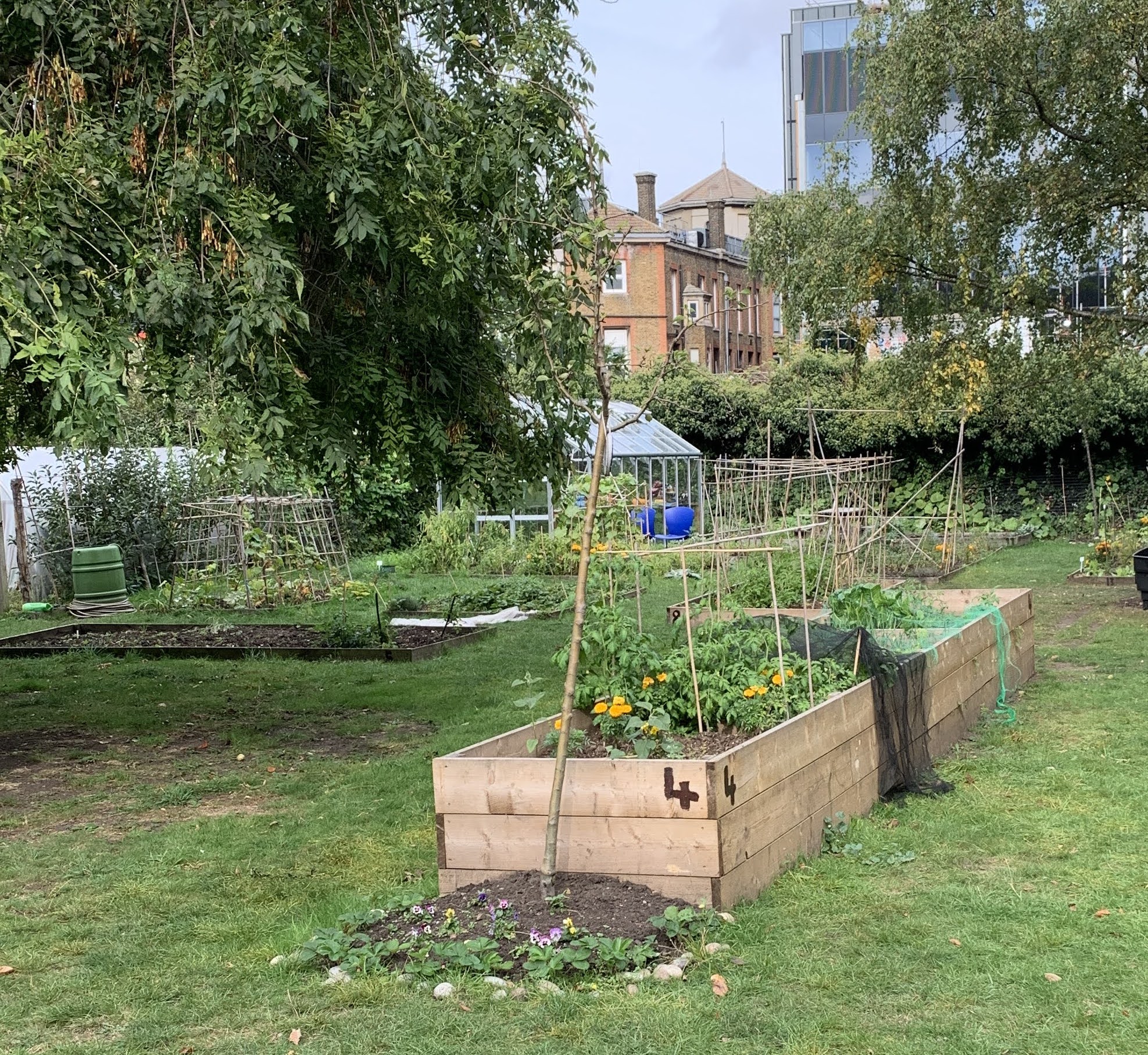 About the Community Garden – Friends of Ruskin Park