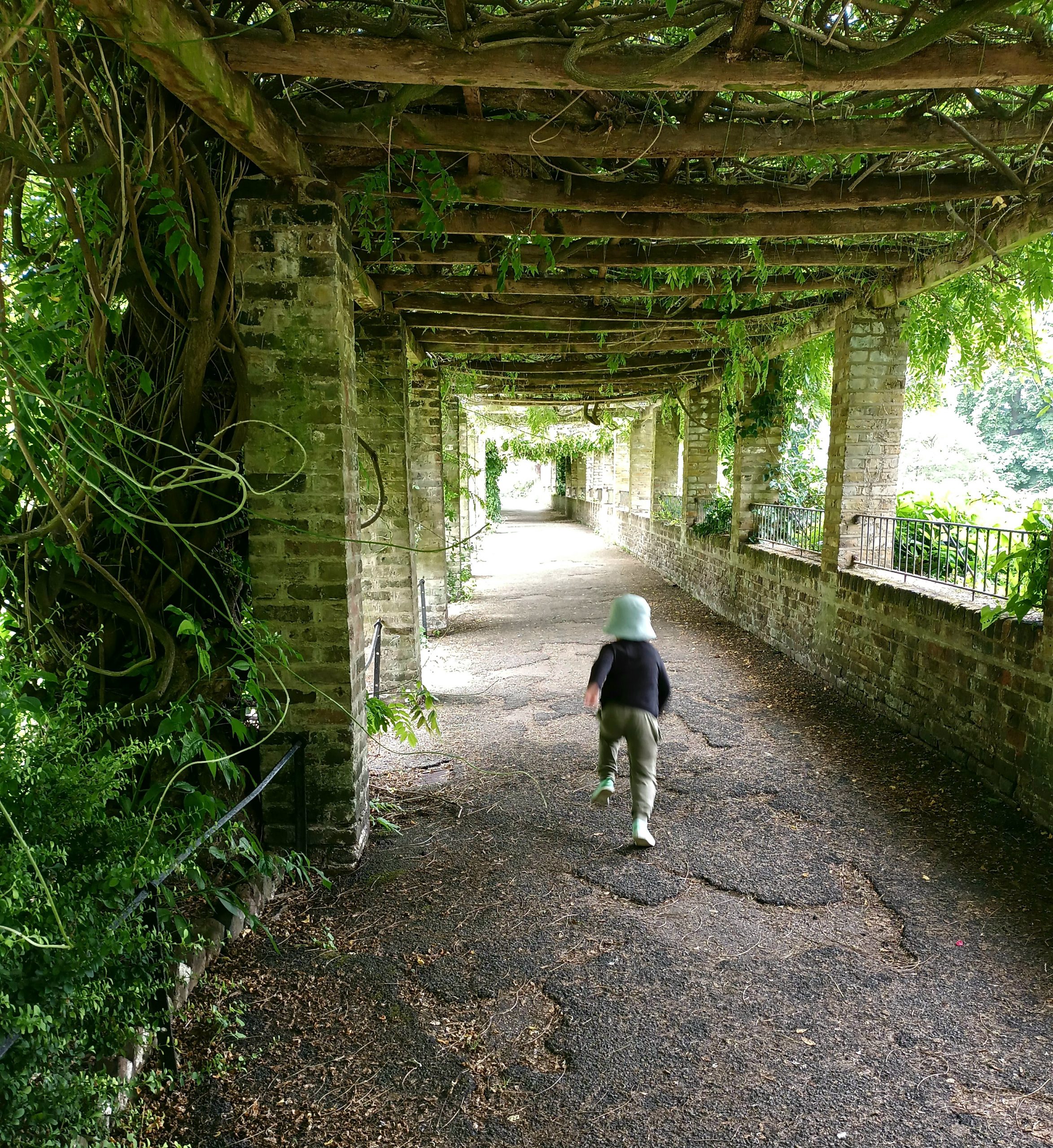 Photography Competition 2022 winners announced – Friends of Ruskin Park