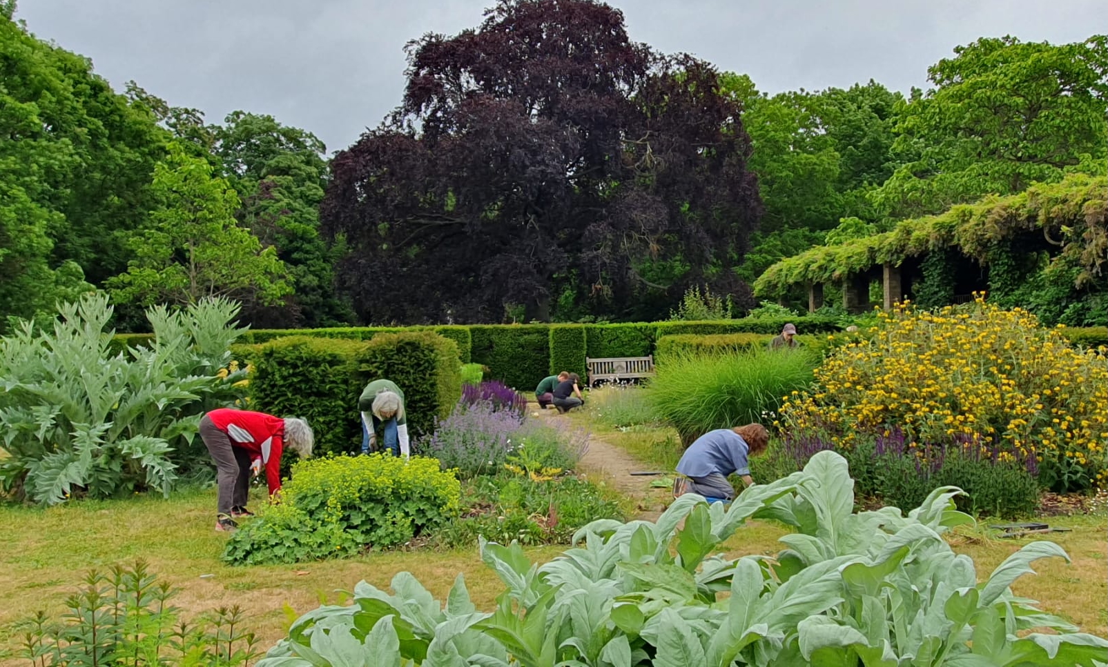 Labyrinth Garden – Friends of Ruskin Park